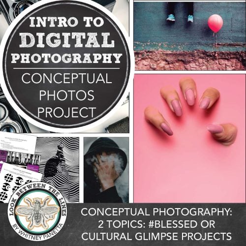 Conceptual Photography Project: Intro to Photo Lesson